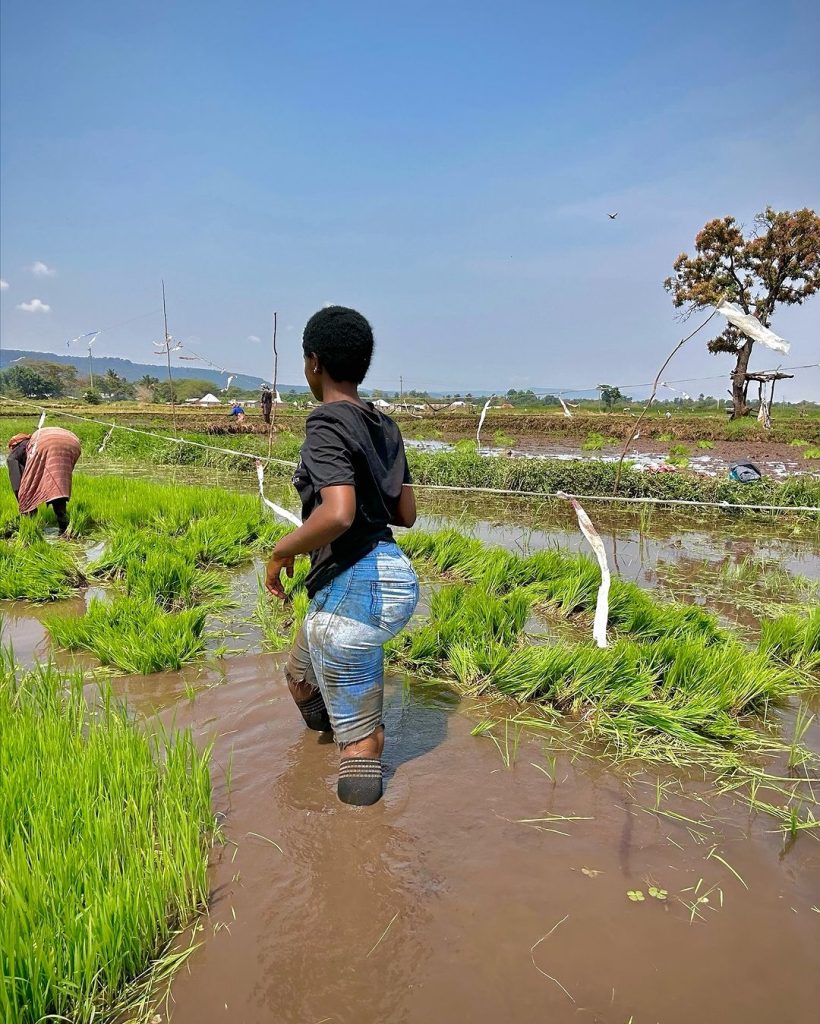 Ray Ngumuo Biography, Profile, Early Life - KingMinds